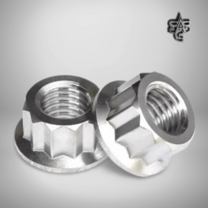 12-Point Nuts Shree Ashapura Steel